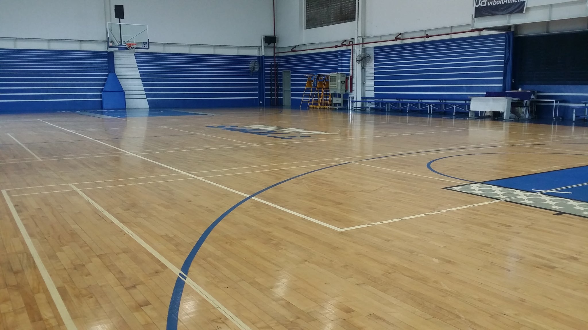 Toby's Arena – Courtslots